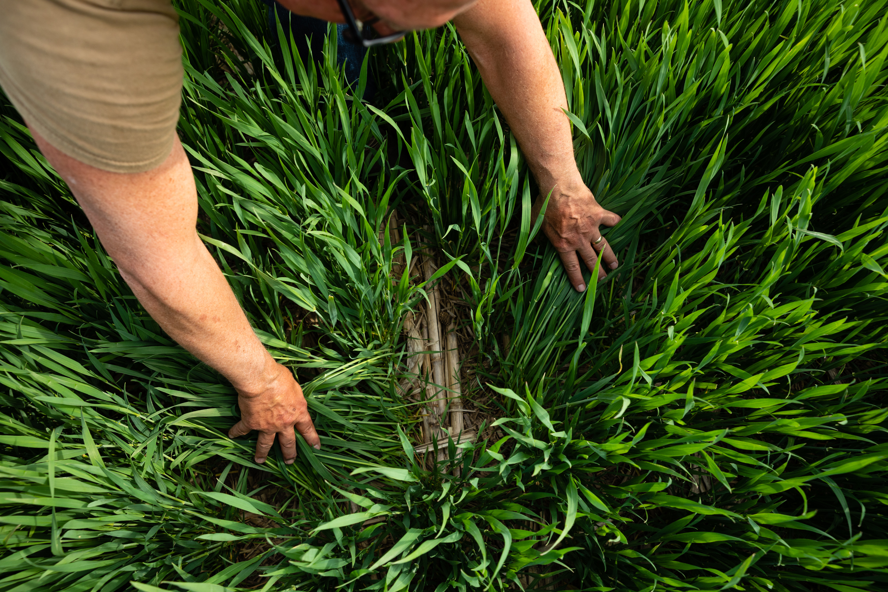 Land Conservation