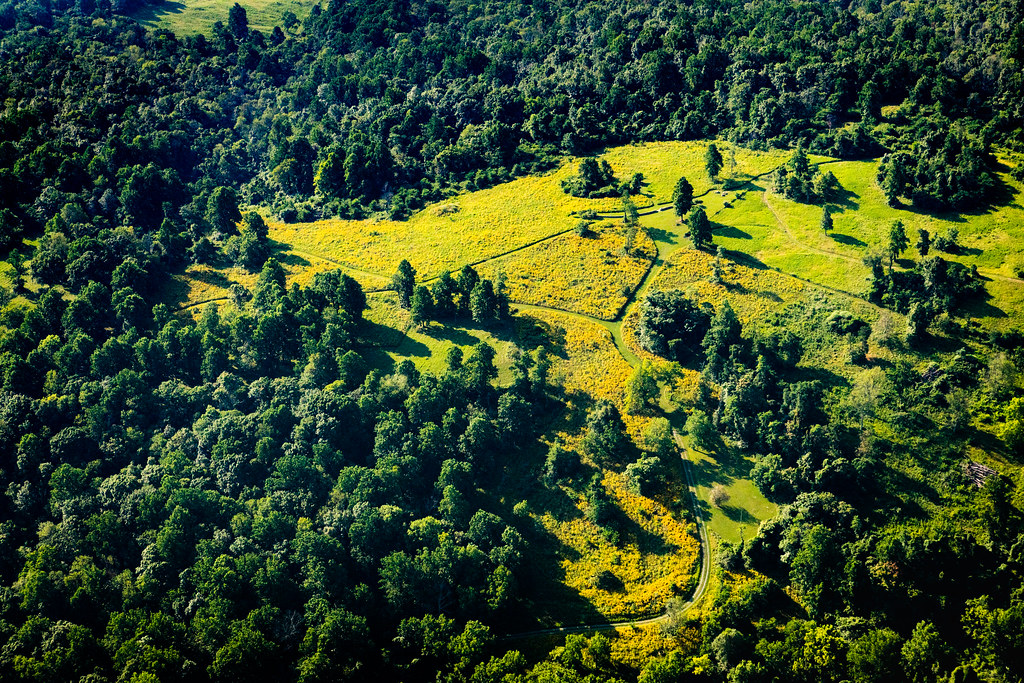 Wildlife and Habitat