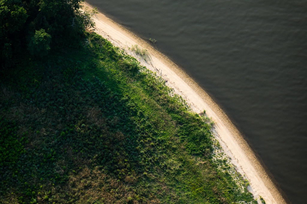 Wildlife and Habitat